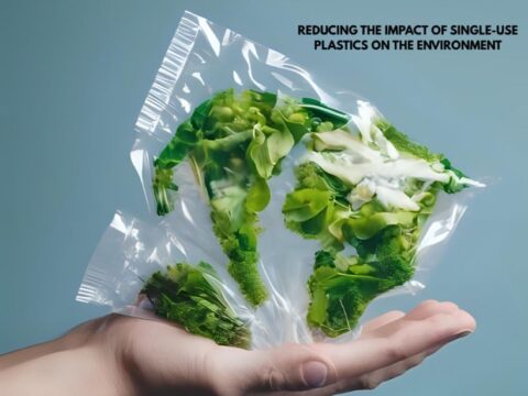 Reducing the Impact of Single-Use Plastics on the Environment | coniferous